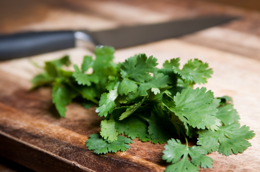 La Coriandre - Pilules Bien-être