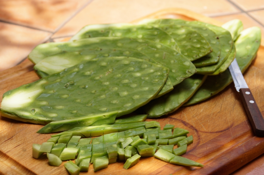 Le Nopal ou figuier barbarie - Pilules Bien-être